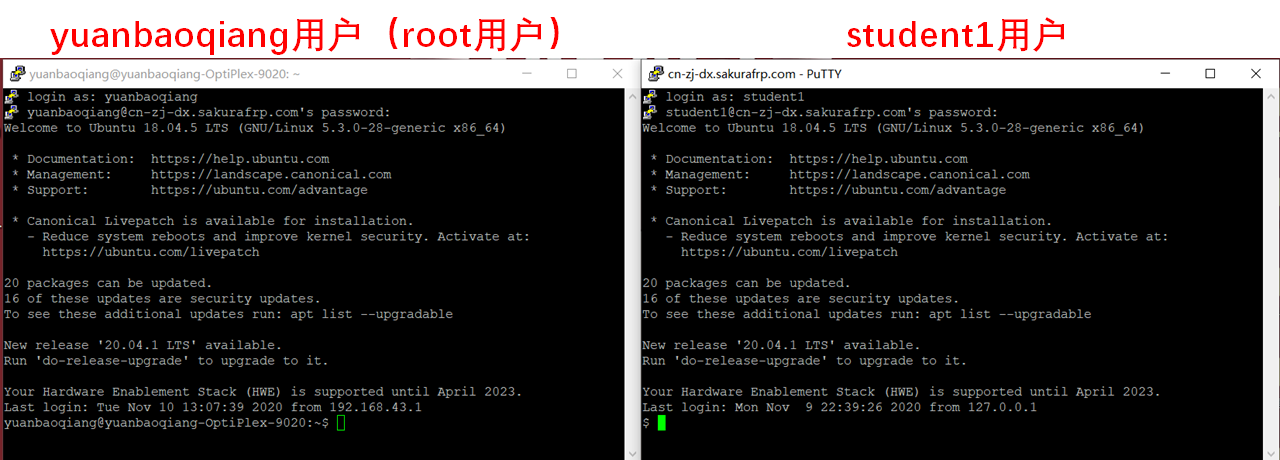 【反向代理】-Ubuntu服务器实现多用户SSH登陆及Sakura Frp内网穿透_sakura访问密钥是什么-CSDN博客