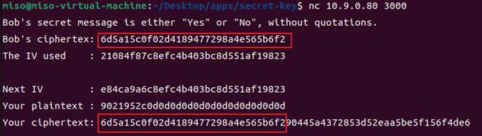 【seedlab】secret-key encryption Task6.3_bob鈥檚 secret message is either "yes" or "no", with-CSDN博客