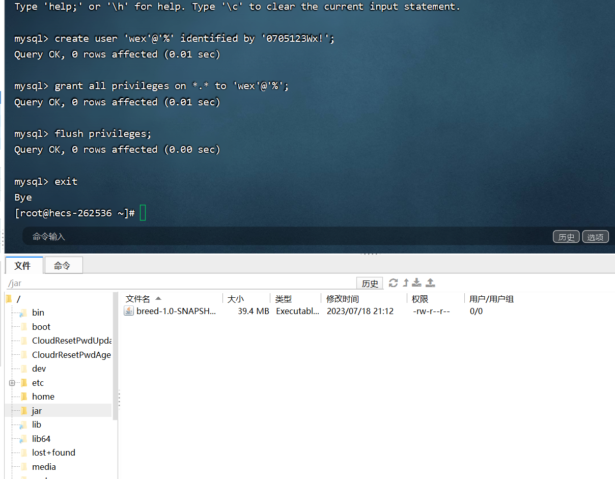 Linux服务器搭建_小型公司linux服务器配置实施方案-CSDN博客
