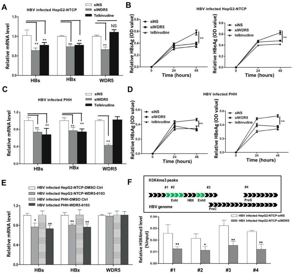 组蛋白修饰 | 一文带你了解H3K4me3_promoter-associated marker h3k4me3-CSDN博客