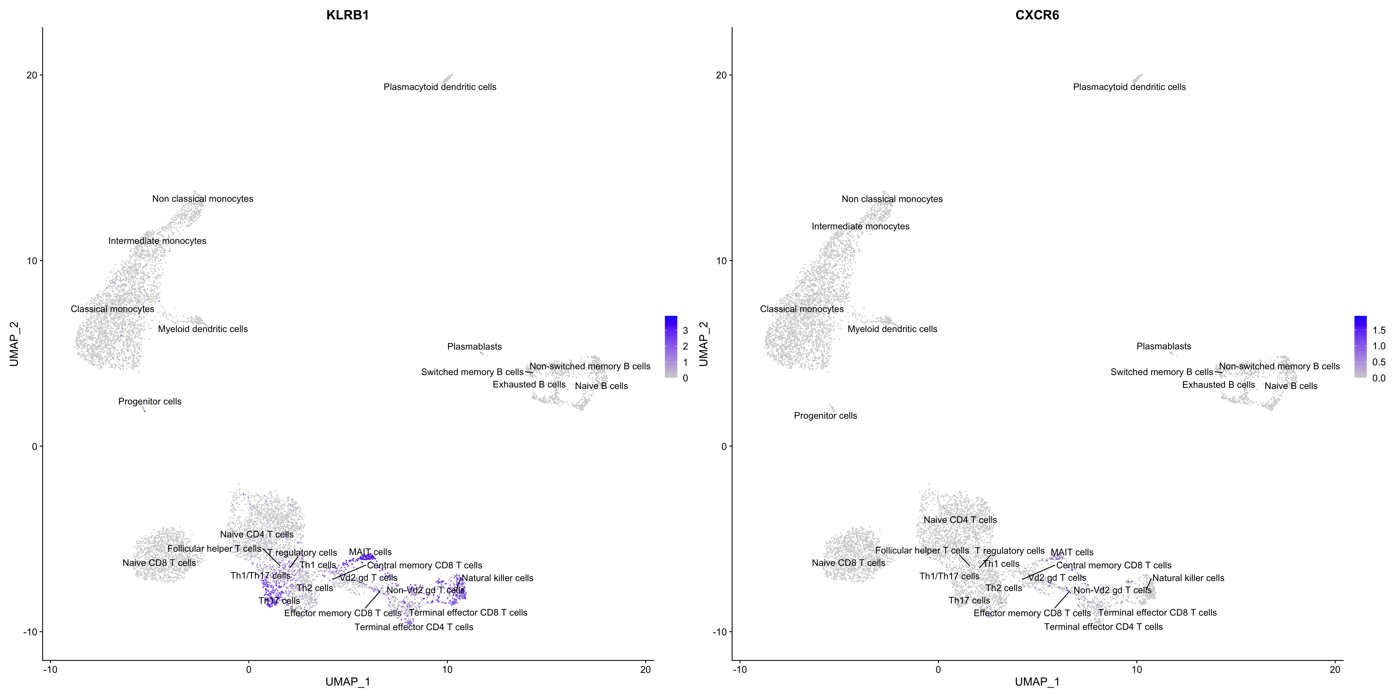 Seurat | 强烈建议收藏的单细胞分析标准流程（差异分析与细胞注释）（五）_humanprimarycellatlasdata-CSDN博客