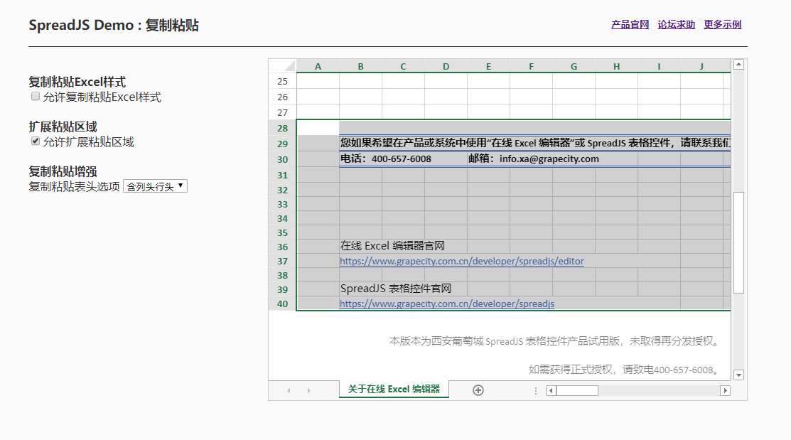 纯前端表格控件SpreadJS新手入门指南 - 复制粘贴_前端 复制粘贴excel表格-CSDN博客