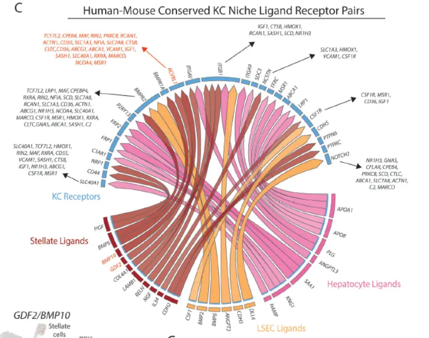 10X空间转录组 & 蛋白组联合分析之空间分区模式_10x citeseq-CSDN博客