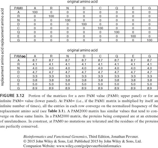 2020.11.23【读书笔记】丨生物信息学与功能基因组学（第三章 双序列比对 Dayhoff模型）_dayhoff矩阵-CSDN博客