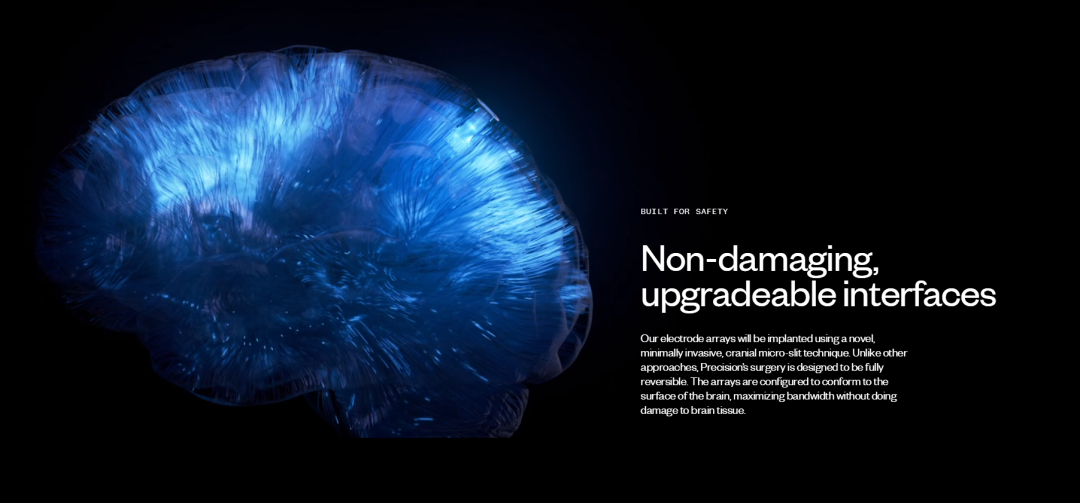 专访Precision Neuroscience公司的联合创始人Dr. Benjamin Rapoport-CSDN博客