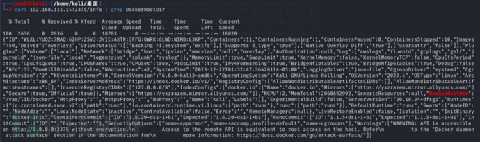 docker逃逸方法汇总与简要分析_拿到一个webshell怎么判断他是在docker里还是实机里?-CSDN博客
