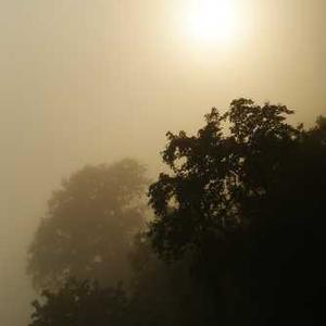 随机图库Lorem Picsum_图库随机选取-CSDN博客