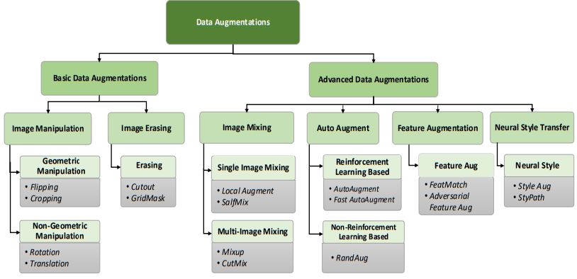 一文看尽深度学习中的各种数据增强_模糊处理数据增强-CSDN博客