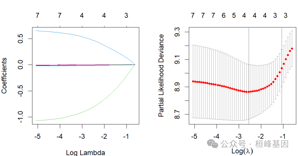 MachineLearning 26. 机器学习之弹性网络算法应用于生存分析 (Enet)-CSDN博客