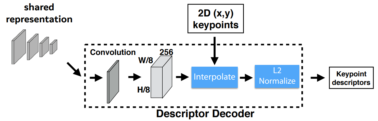 SuperPoint:深度学习特征点+描述子_superpoint描述子-CSDN博客
