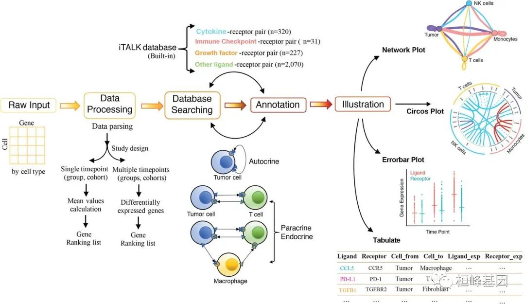 SCS【18】细胞交互：受体-配体及其相互作用的细胞通讯数据库 (iTALK)-CSDN博客