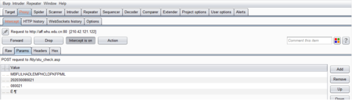 Burp Suite的使用——Proxy_intercept is on-CSDN博客