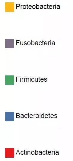 16S预测细菌表型-bugbase：革兰氏阴阳、生物膜、致病力、移动元件、氧气消耗等...-CSDN博客