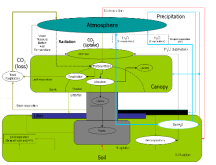 Biome-BGC生态系统模型与Python融合技术实践应用-CSDN博客