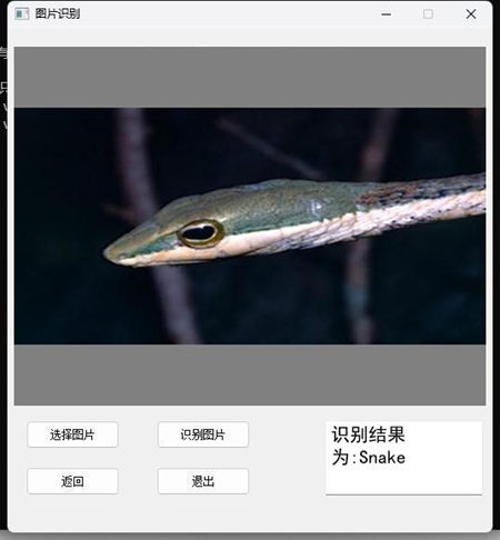 基于python-CNN深度学习的野外小动物识别-含数据集+pyqt界面_深度学习模型动物识别 代码-CSDN博客