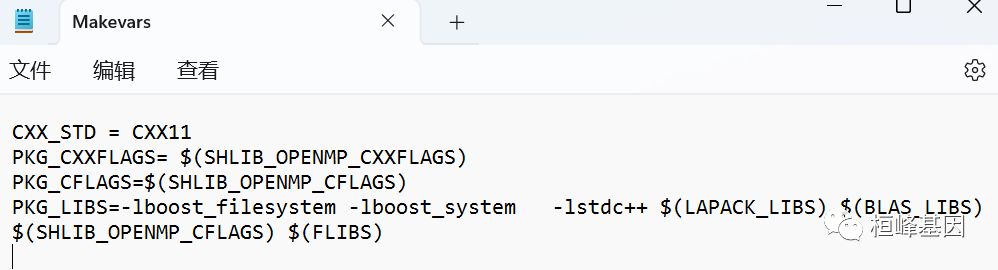 软件安装系列：R velocyto.R 的安装与初试-CSDN博客