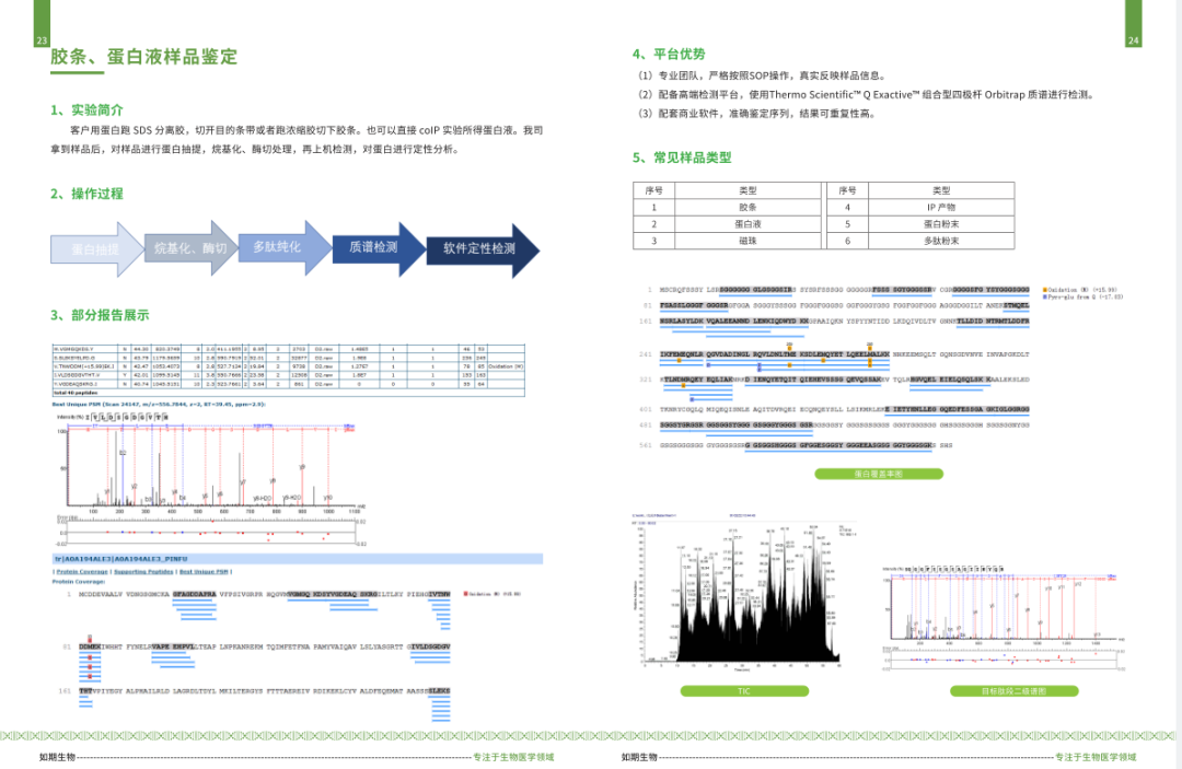RIP实验步骤(RNA Immunoprecipitation)_input rna_avareart的博客-CSDN博客
