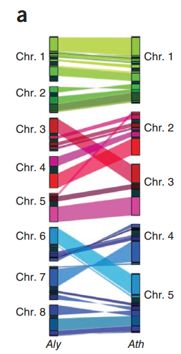 「JCVI教程」使用JCVI进行基因组共线性分析(上)-CSDN博客