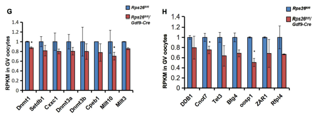 graphpad做柱状图_如何使用GraphPad做多组柱状图？-CSDN博客