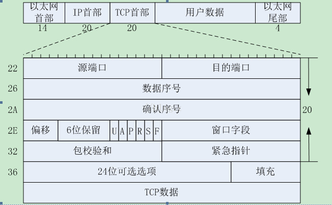 TCP/IP/ARP/ICMP首部分析_以太网首部-CSDN博客