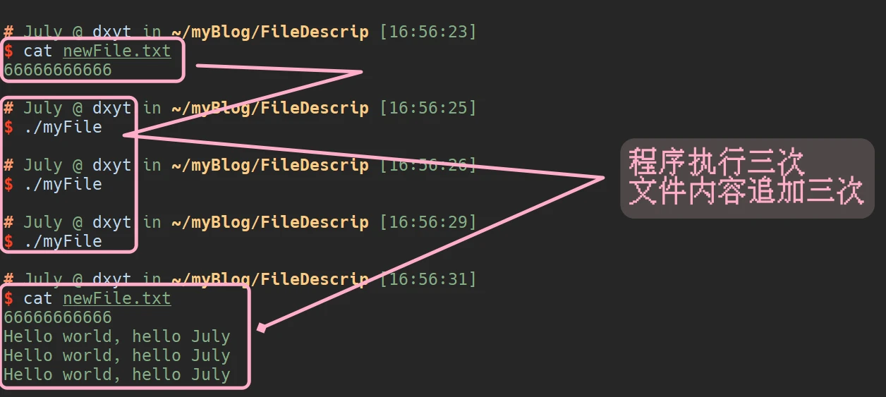 【Linux】[万字] Linux下的文件操作 及 Linux文件描述符fd 详解_linux fd-CSDN博客