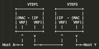 VXLAN L3 with EVPN_l2vni和l3vni的区别-CSDN博客