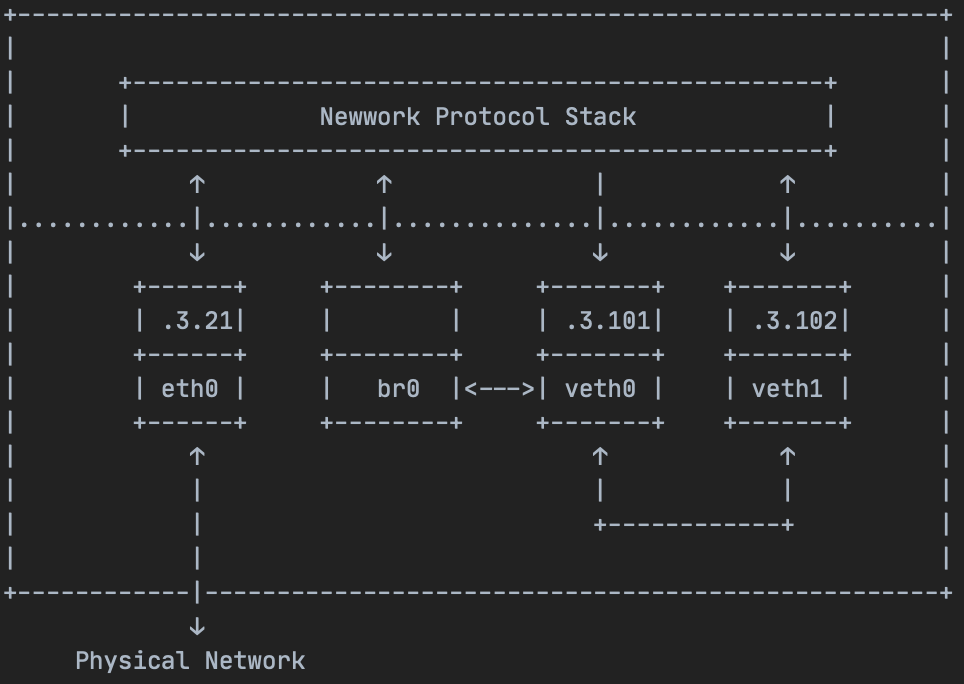 Linux虚拟网络设备bridge你真搞懂了吗？_linux bridge-CSDN博客