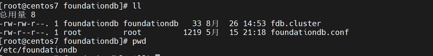 ByConity保姆级部署教程-CSDN博客
