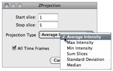 imagej旋转图片_老司机带你解锁ImageJ三维图片分析技巧_Brraida的博客-CSDN博客