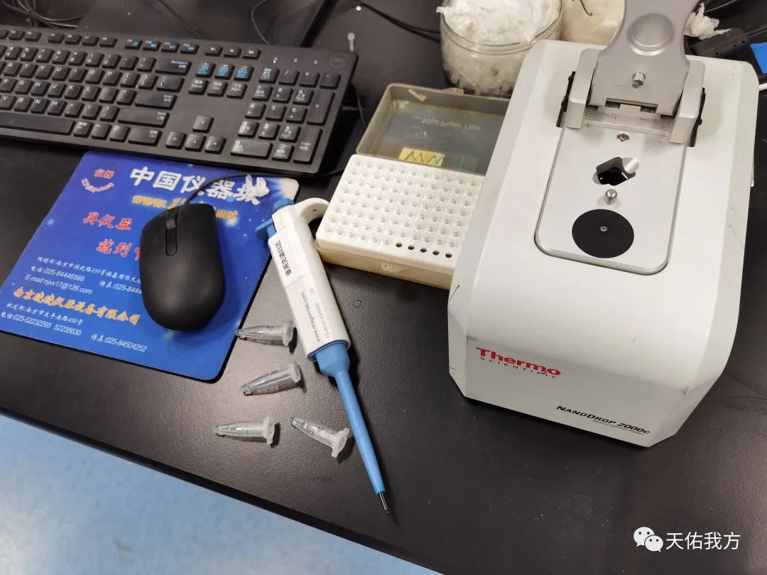 ctab提取dna流程图_CTAB法提取DNA，pcr扩增，聚丙烯酰胺凝胶电泳-CSDN博客