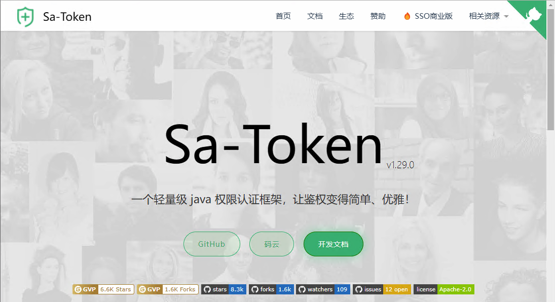 SpringBoot集成权限认证框架(Sa-Token)_springboot sa-token-CSDN博客