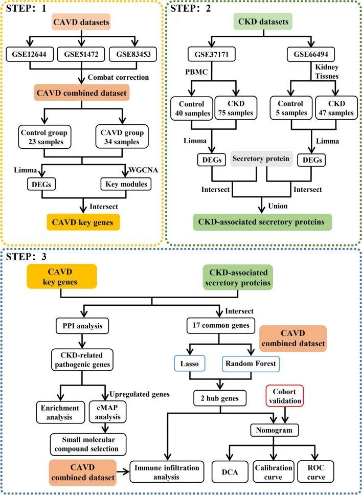 8+双疾病联合生信分析搭配机器学习+实验_双疾病联合生信分析 心梗-CSDN博客