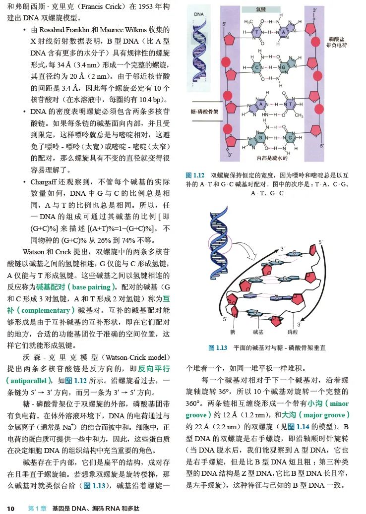 重磅 | 分子生物学与遗传学经典名著——《Lewin基因XII》（中译本）-CSDN博客