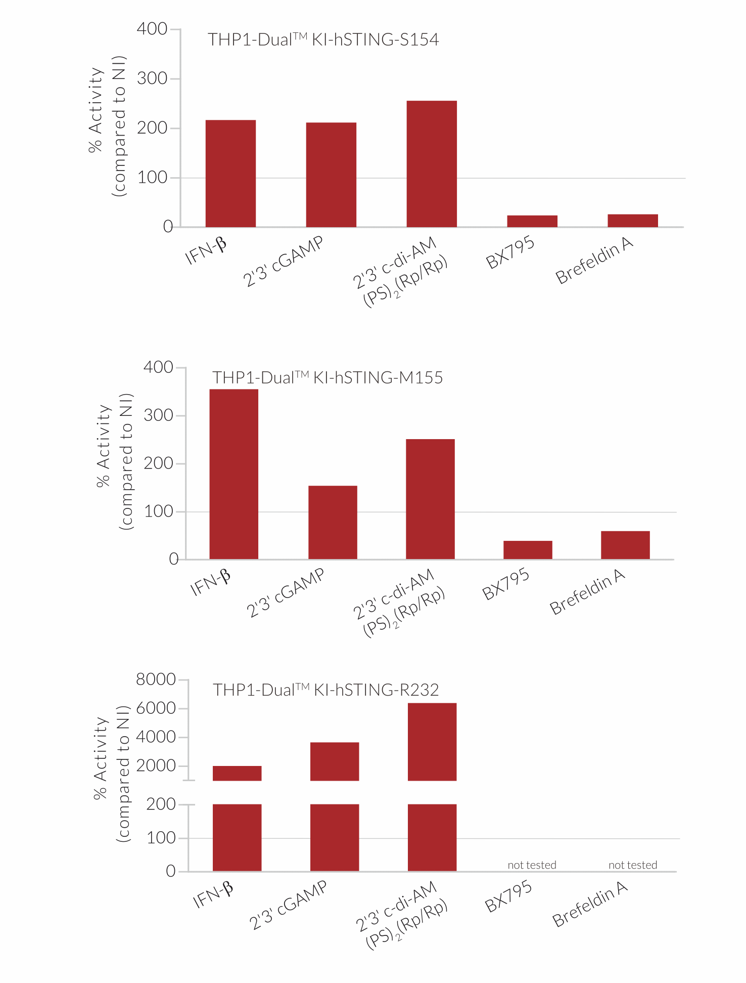 STING 突变株：STING SAVI 报告基因细胞株-CSDN博客
