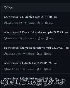 移植OpenStLinux到Stm32Mp157上-CSDN博客