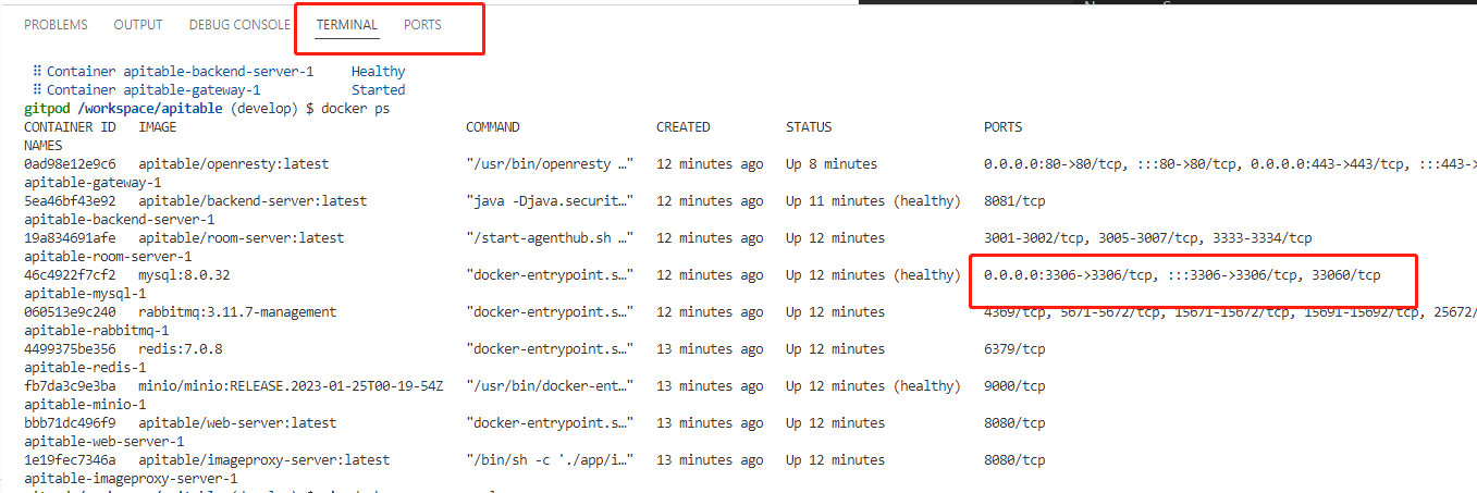 gitpod-Vika表格ApiTable远程数据库连接调试_apitable 支持连接数据库-CSDN博客