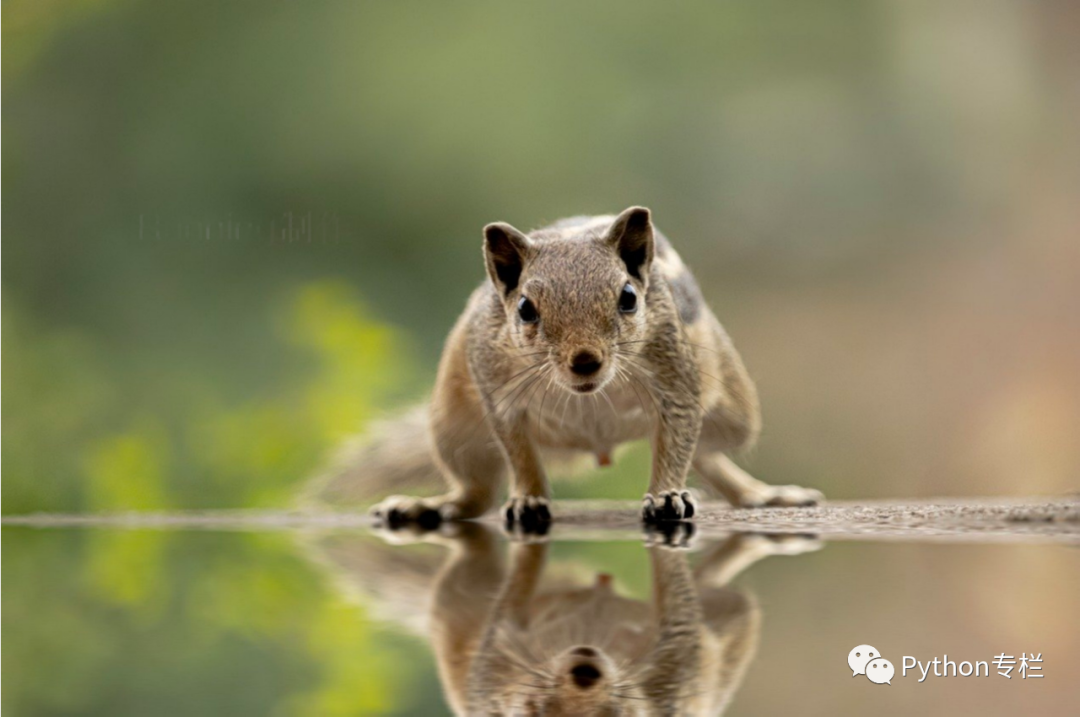 利用Python去除图片水印，太神奇了！_cv2.inpaint()去水印-CSDN博客