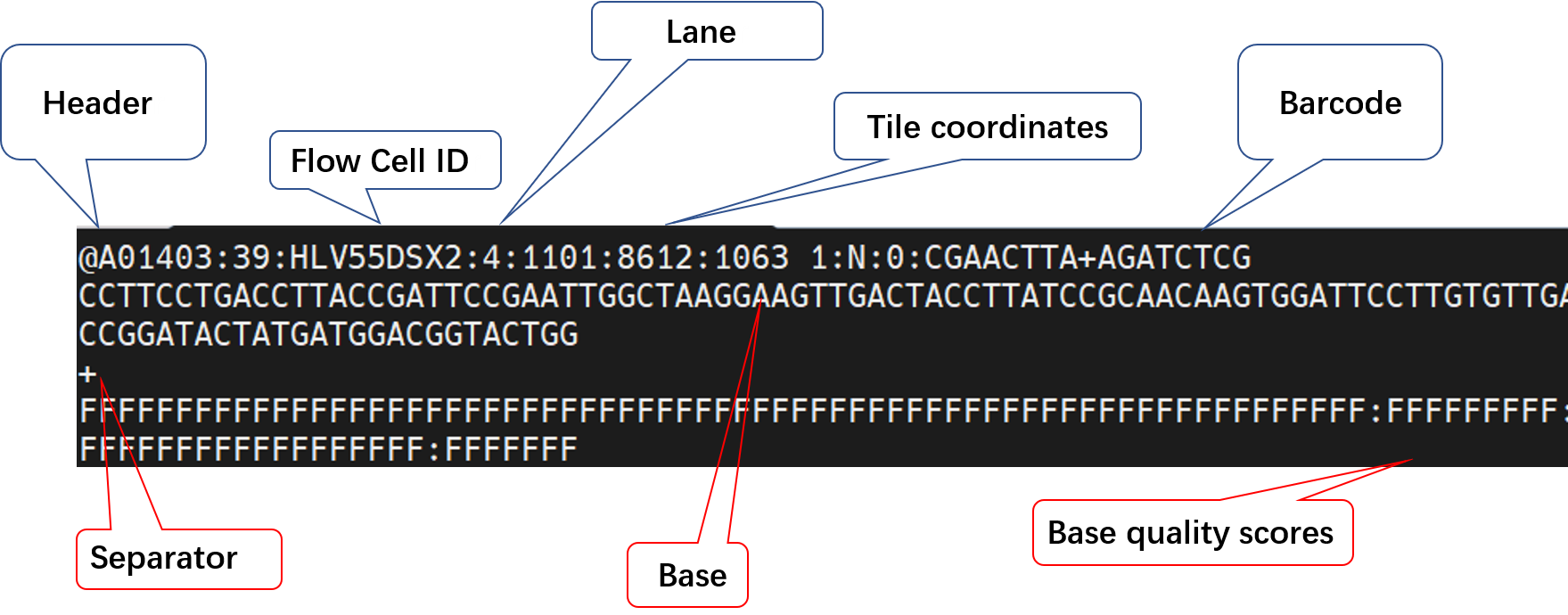 bulk RNA-Seq (1) 数据清洗_bulkrna-seq是什么-CSDN博客