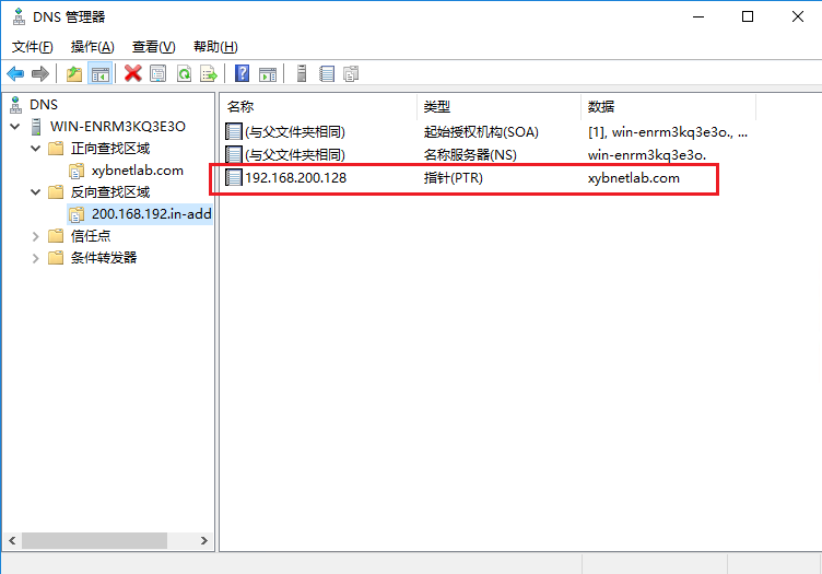 DNS服务器搭建（Windows版本）_windows搭建dns解析服务器-CSDN博客