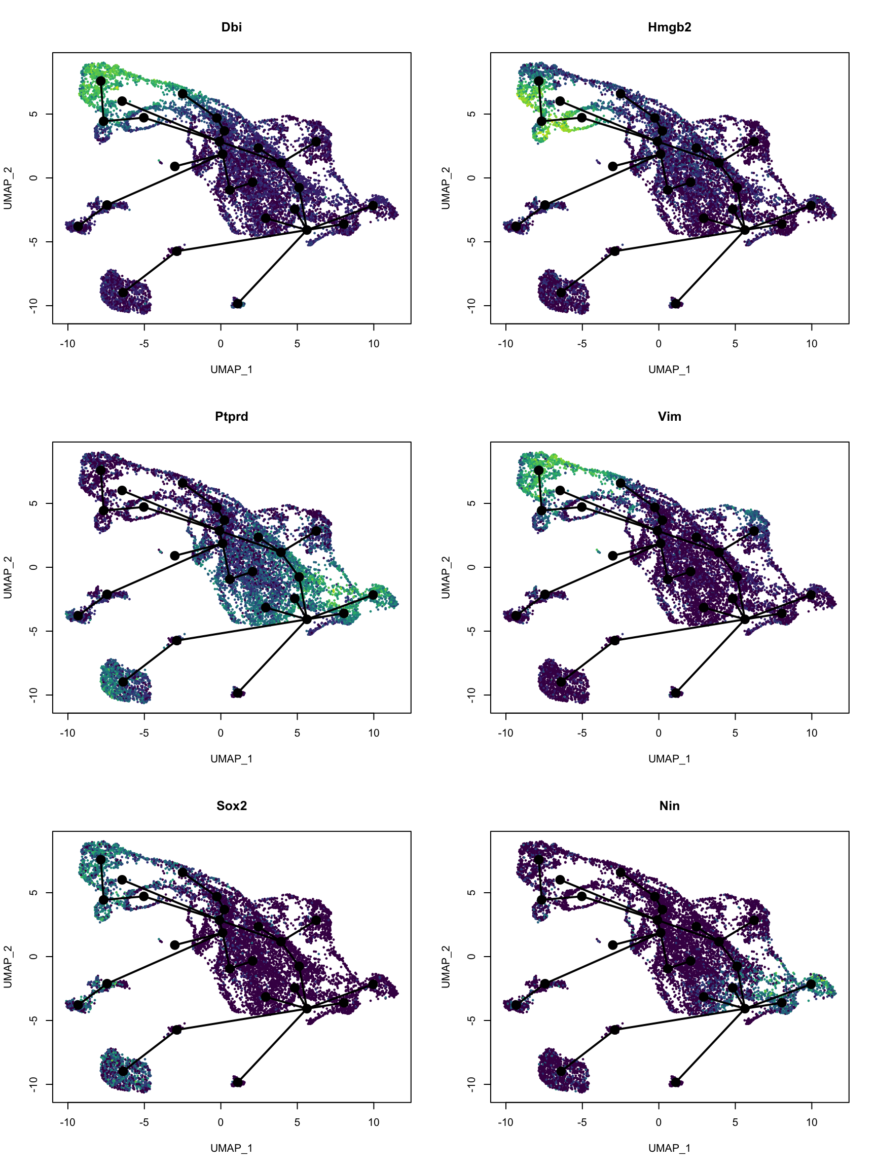 轨迹分析分化 速率分析 monocle slingshot安装 seurat pseudotime-CSDN博客