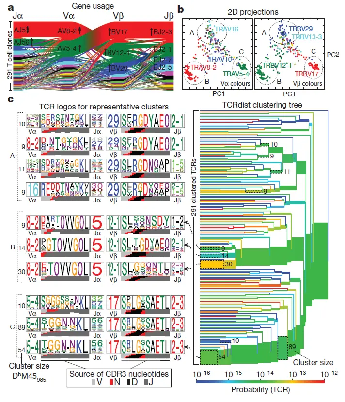 10X单细胞（10X空间转录组）TCR数据分析之TCRdist(1)-CSDN博客