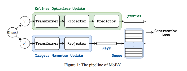 MoBy解析（Self-Supervised Learning with Swin Transformers）-CSDN博客
