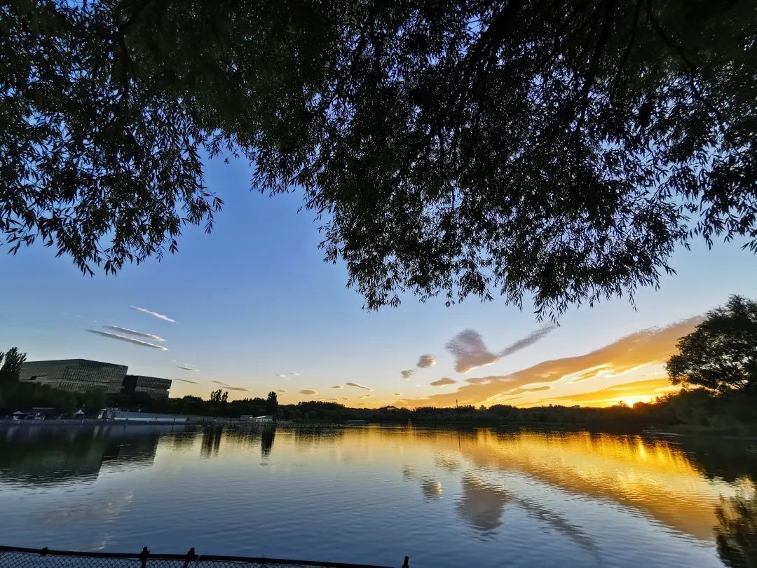 数字孪生化水平五大等级L1-L5-CSDN博客