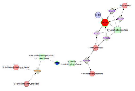 低浓度阿拉特津（ATZ）诱导MCF-7细胞增殖的生物标志物发现及其代谢组学机制探究_代谢组中的pos-CSDN博客