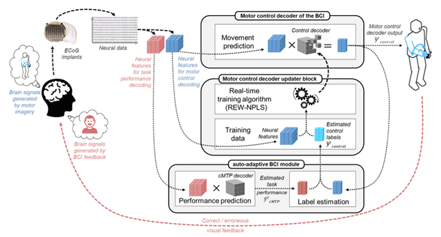 Nature子刊：对EcoG脑机接口进行无监督适应-CSDN博客