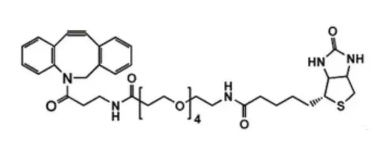 1255942-07-4，DBCO-PEG4-Biotin，能够与含有叠氮基团的分子连接-CSDN博客