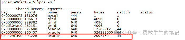 Oracle-TNS:connection closed无法连接数据库案例_ora-12537: tns:connection closed ...