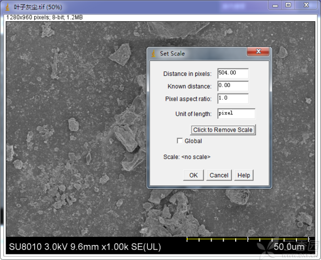 java使用imagej_【原创】imagej使用达人指南，分享给大家！-CSDN博客