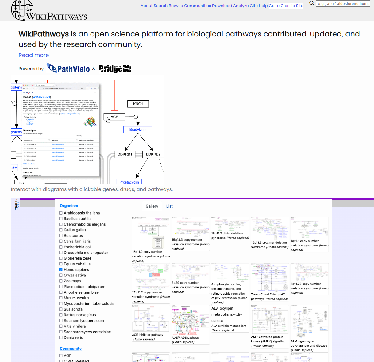 富集分析常见类型_富集分析中sweep是什么意思-CSDN博客