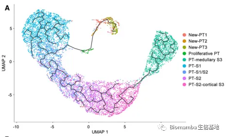 终于读到一篇用monocle3做拟时序的文章_monocles3-CSDN博客